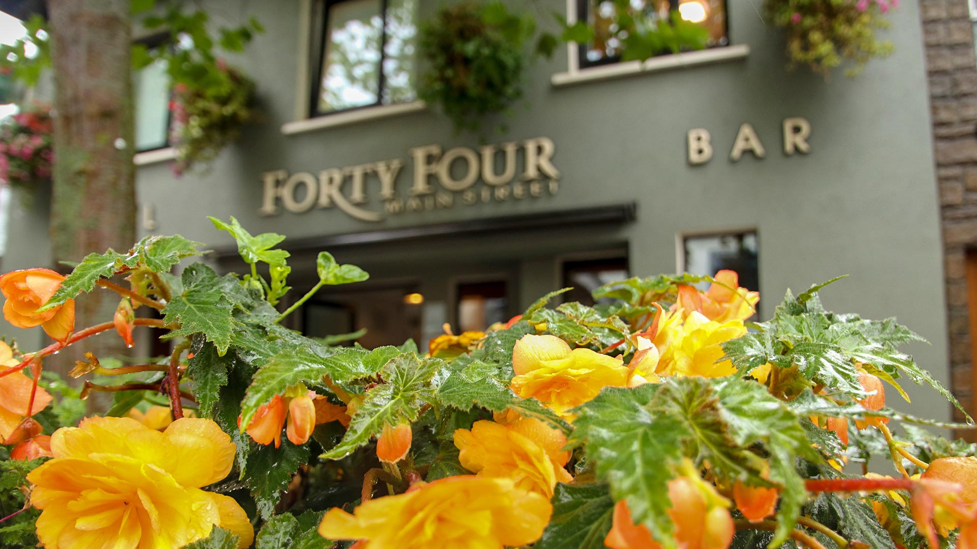 Pubs in Swords | Pubs Near Dublin Airport | Forty Four Pub